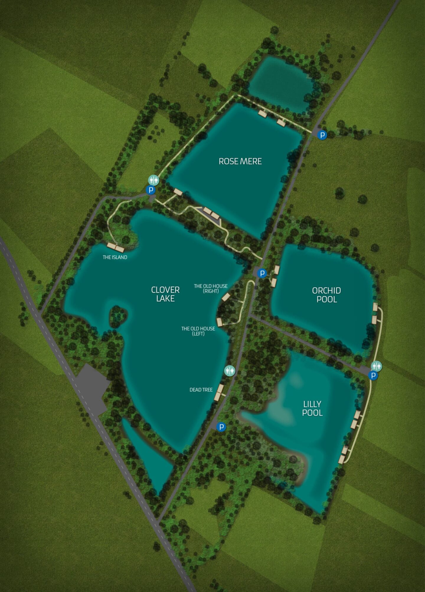 Carp Arena - Embryo Angling