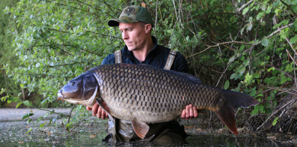 Orchid Pool 2027 - Embryo Angling