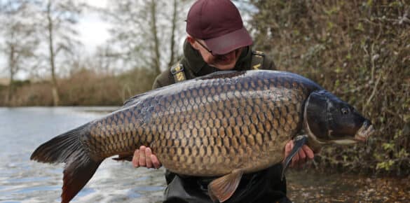 Carp Arena - Embryo Angling